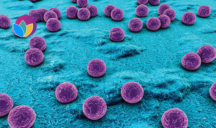 Staphylococcus Epidermidis Healing Frequency - Frequency Heals